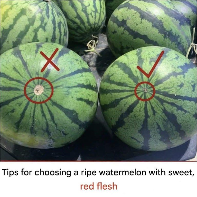 How to Choose a Perfectly Ripe Watermelon: 6 Simple Clues – Best Recipes